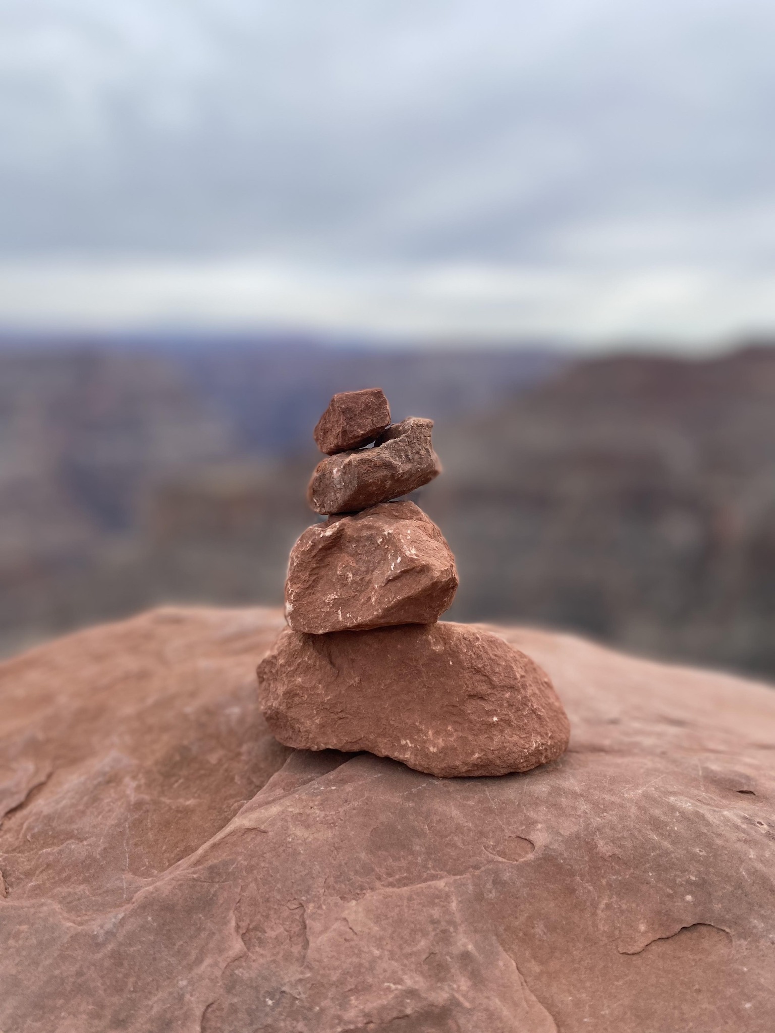 Welcome - Middle Path Innovations